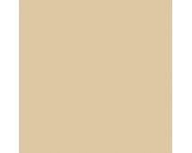 Dromedary Camel SW7694 Paint by Sherwin-Williams - modlar.com
