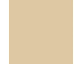 Dromedary Camel SW7694 Paint by Sherwin-Williams - modlar.com