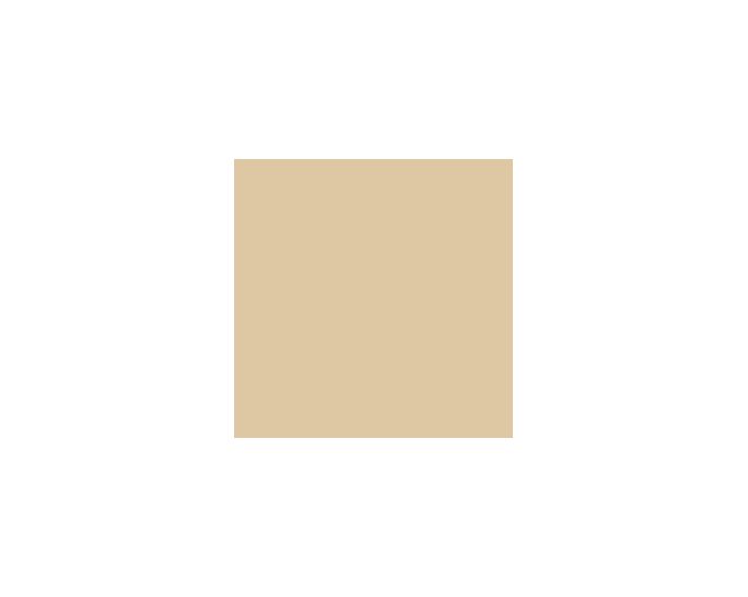 Dromedary Camel SW7694 Paint by Sherwin-Williams - modlar.com