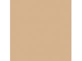 Lanyard SW7680 Paint by Sherwin-Williams - modlar.com