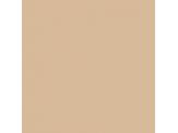 Mesa Tan SW7695 Paint by Sherwin-Williams - modlar.com
