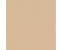 Mesa Tan SW7695 Paint by Sherwin-Williams - modlar.com