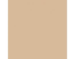 Mesa Tan SW7695 Paint by Sherwin-Williams - modlar.com