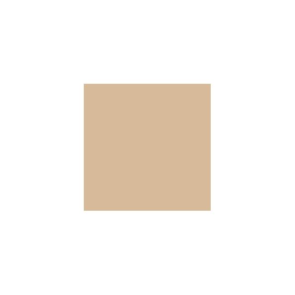 Mesa Tan SW7695 Paint by Sherwin-Williams - modlar.com