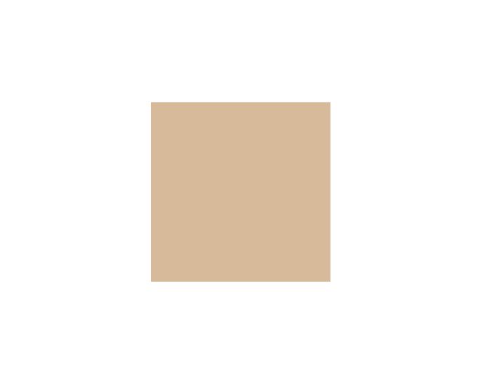 Mesa Tan SW7695 Paint by Sherwin-Williams - modlar.com