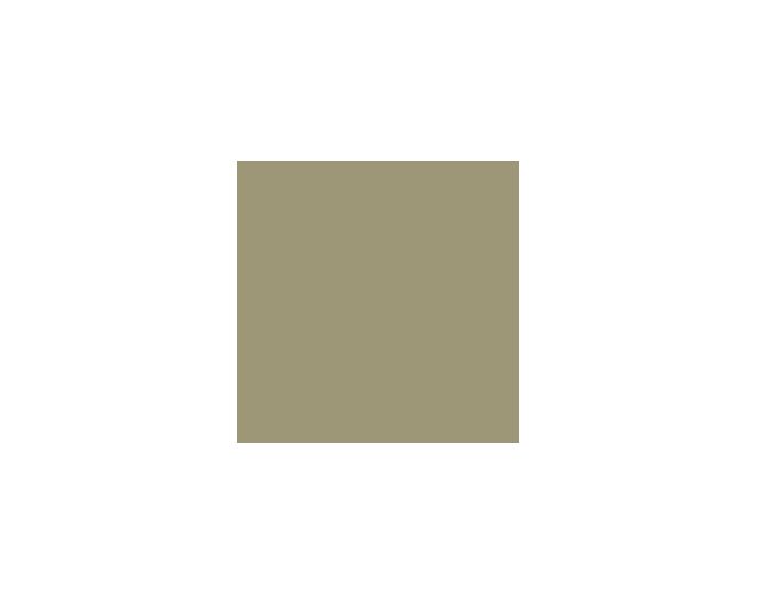 Olive Grove SW7734 Paint by Sherwin-Williams - modlar.com