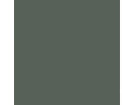 Olympic Range SW7750 Paint by Sherwin-Williams - modlar.com