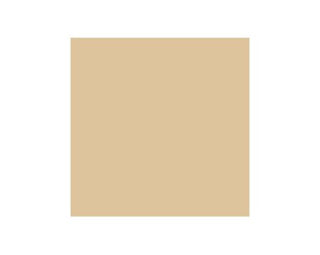 Stonebriar SW7693 Paint by Sherwin-Williams - modlar.com