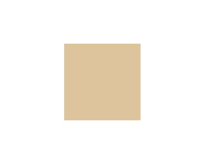 Stonebriar SW7693 Paint by Sherwin-Williams - modlar.com