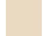 Toasted Pine Nut SW7696 Paint by Sherwin-Williams - modlar.com