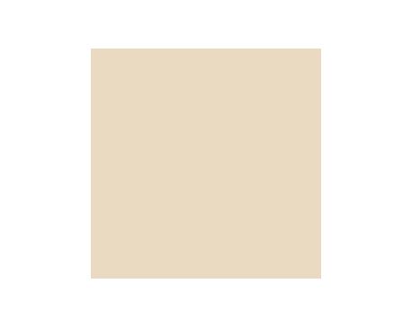 Toasted Pine Nut SW7696 Paint by Sherwin-Williams - modlar.com