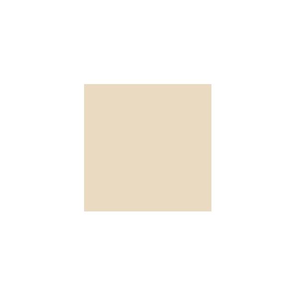 Toasted Pine Nut SW7696 Paint by Sherwin-Williams - modlar.com