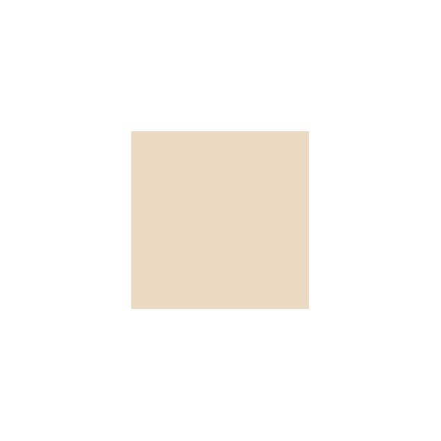Toasted Pine Nut SW7696 Paint by Sherwin-Williams - modlar.com