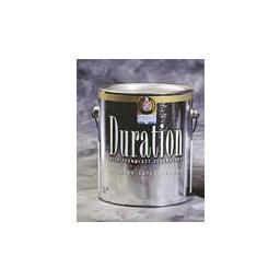 Duration Exterior Latex Flat by Sherwin-Williams - modlar.com
