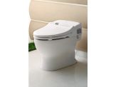 Neorest® 500 Toilet, 1.6 GPF with SanaGloss® - modlar.com
