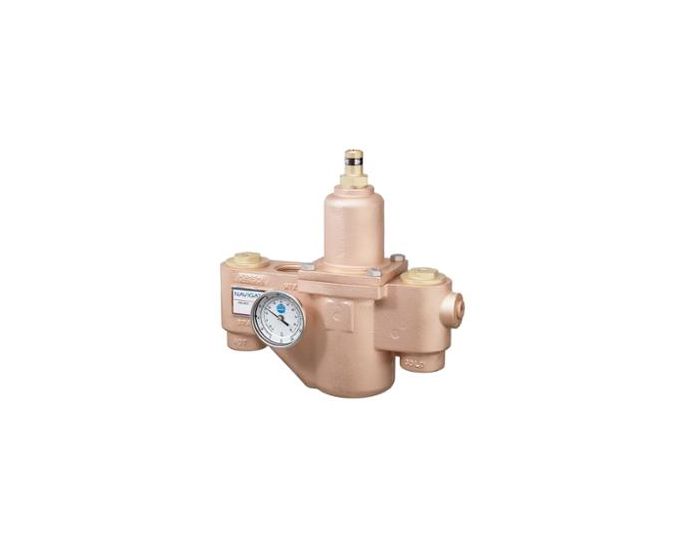 Emergency Fixtures and Valves EFX125-S19-2300 - modlar.com