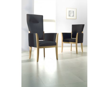 Rossetti Chair Collection - modlar.com