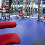 Polyflor Rubber flooring ranges library BIM contents - modlar.com