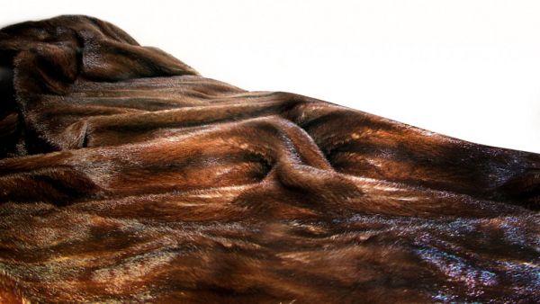 Mink fur MINK CREAM - modlar.com