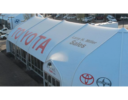 Graphics - Decoration/logo - Sprung Structures - modlar.com