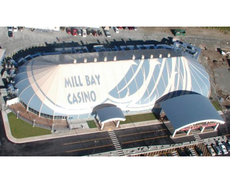 Graphics - Decoration/logo - Sprung Structures - modlar.com