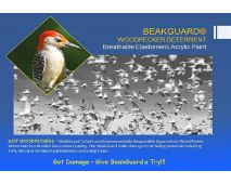 Solution : BeakGuard® - Revolution in product development - Paint ...