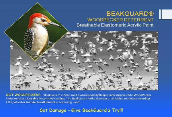 Solution : BeakGuard® - Revolution in product development - Paint ...