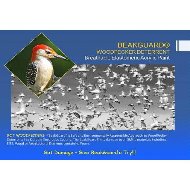 Solution : BeakGuard® - Revolution in product development - Paint ...