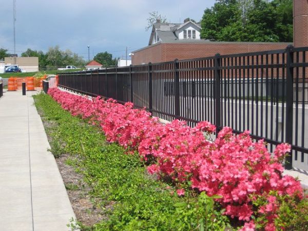 Aegis Plus®Light Commercial Ornamental Steel Fence - modlar.com