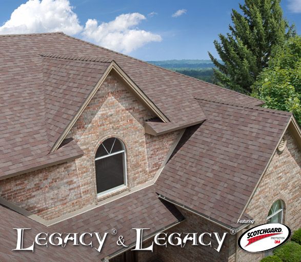 shingles legacy