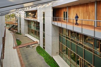 Timber Curtain Wall System - modlar.com