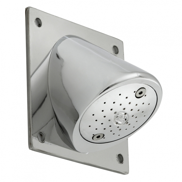 GalvinCare® CP-BS Lead Safe™ Mental Health Anti-Ligature Shower Rose ...