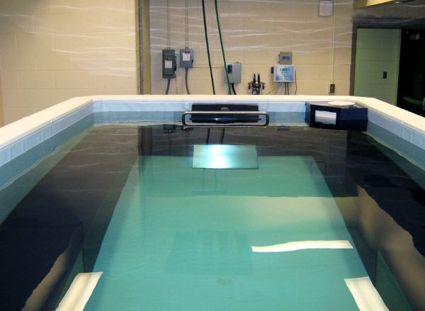 Endless Pool Elite Model Swimming Machine - modlar.com