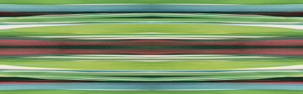 Woven Image Upholstery Fleur Olby Collection - modlar.com